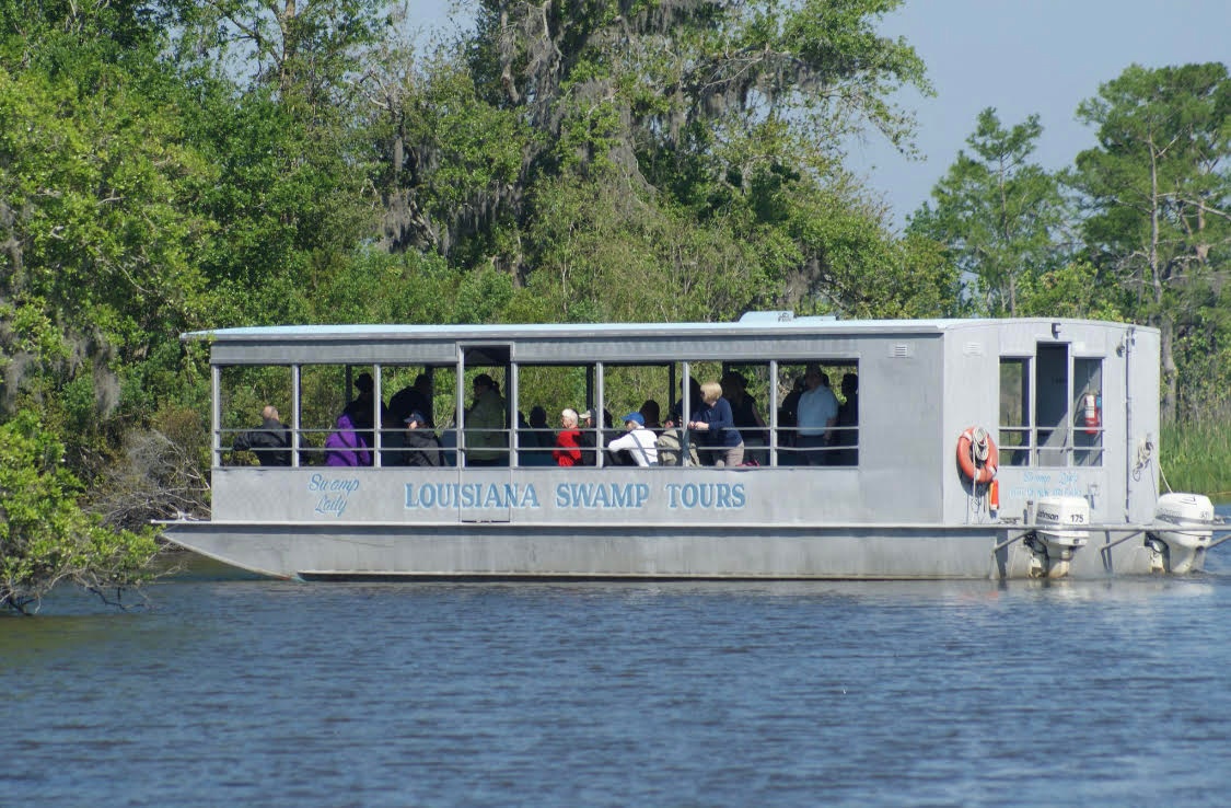 New Orleans Swamp Tours by Tour Boat | Louisiana Tour Company