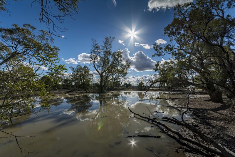 How Swamps Naturally Clean Water And Fight Flooding | Louisiana Tour ...