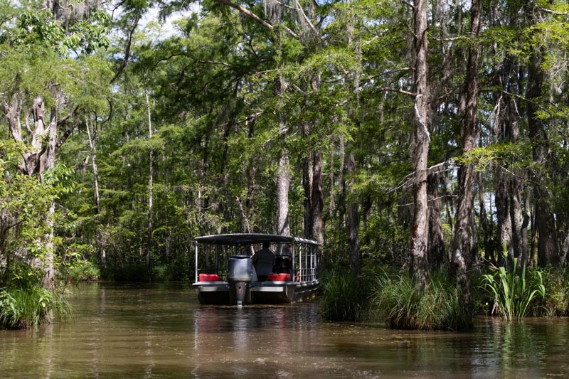 Why Louisiana’s Swamp Tours Are More Than Just Sightseeing | Louisiana ...